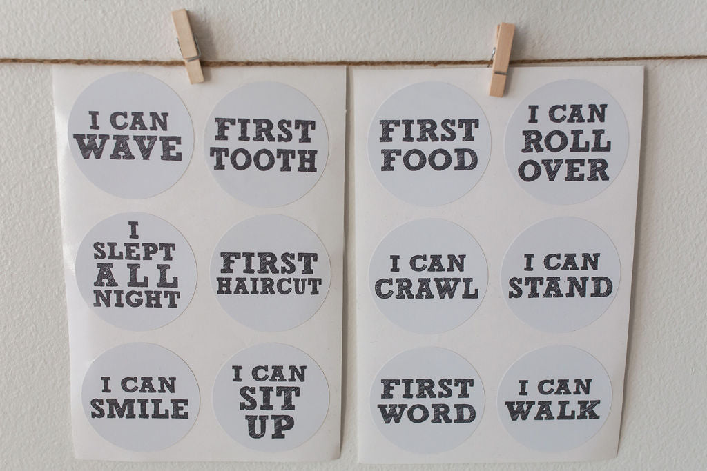 12 MILESTONE STICKERS – TIME SNAP SHOP